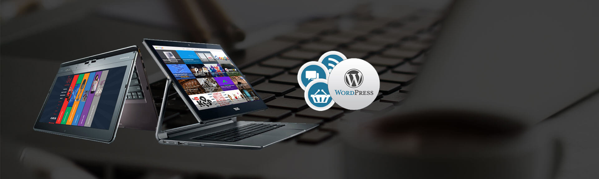 Expert WordPress Development Services in US, UK | Brevity